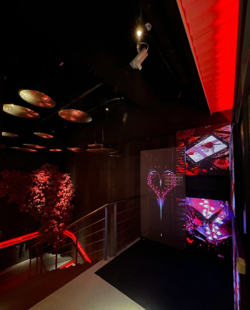 Puning Bar Transparent Screen Project - China LED Screens Manufacturer ...