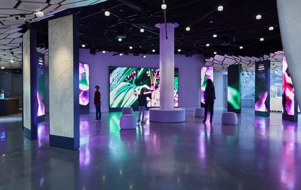 A Guide to Choosing the Right LED Video Wall for Exhibitions - China ...